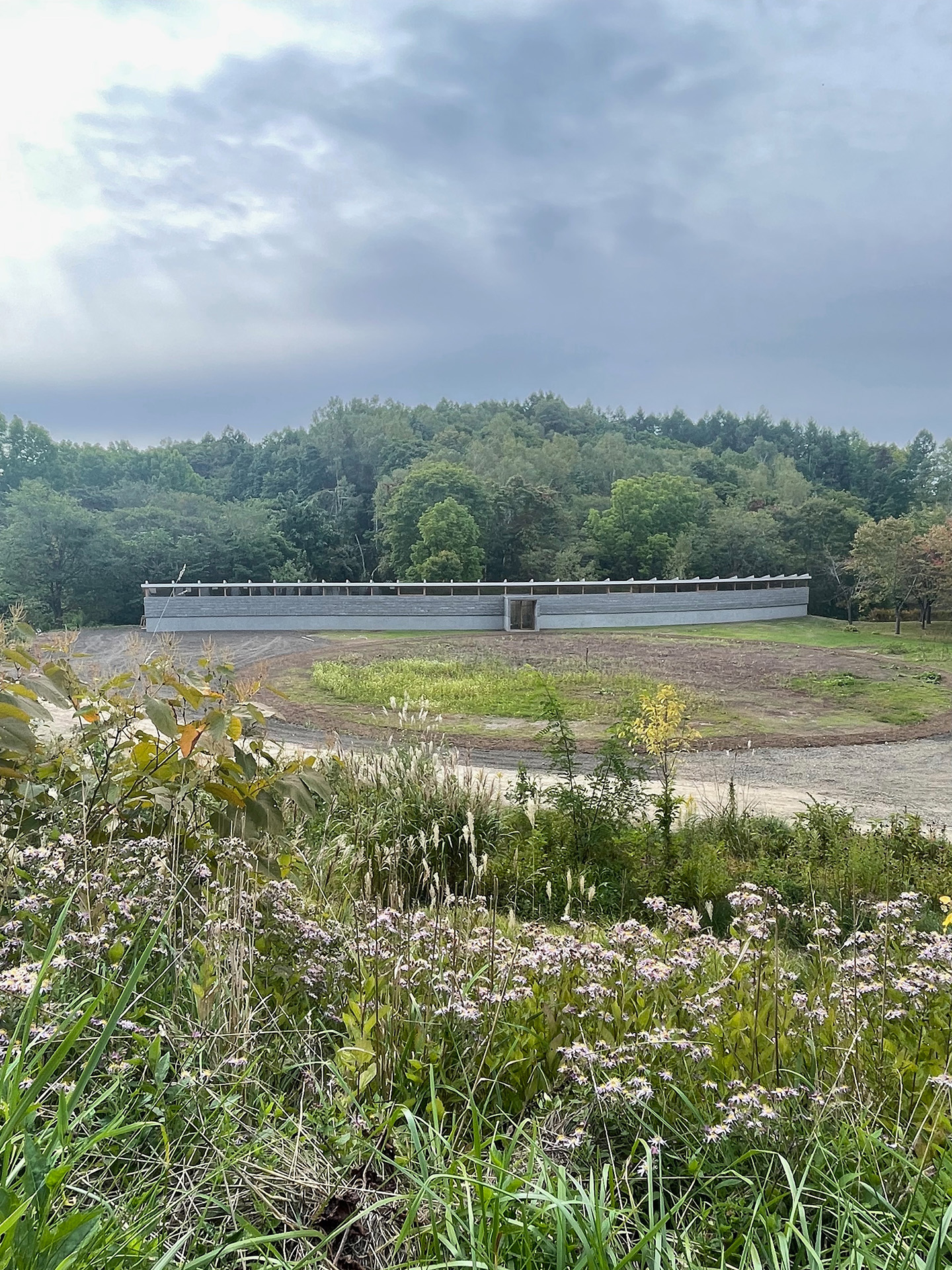 ICOR NISEKO – Parsley